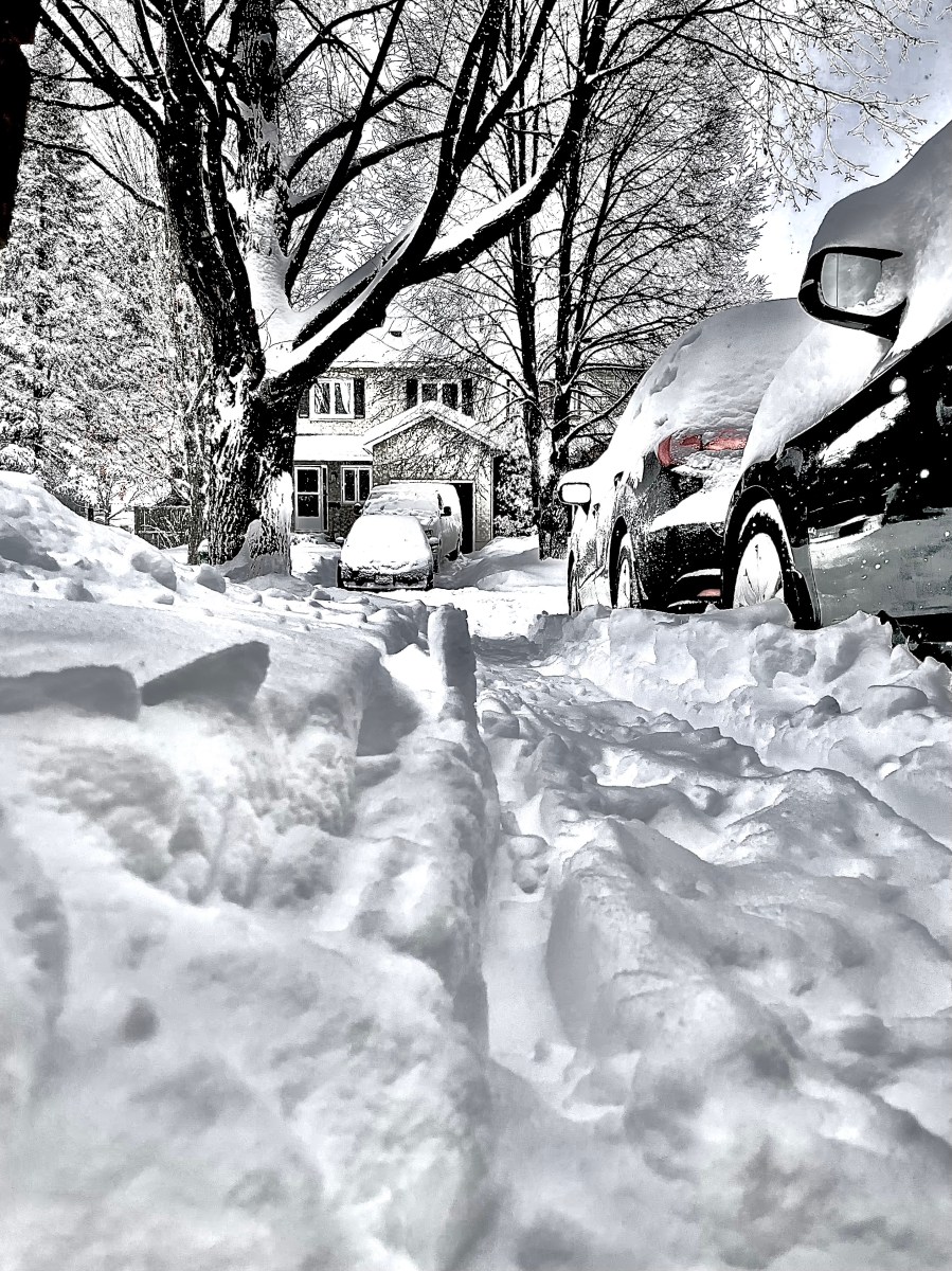 Shovelling snow – The Boring Cafe